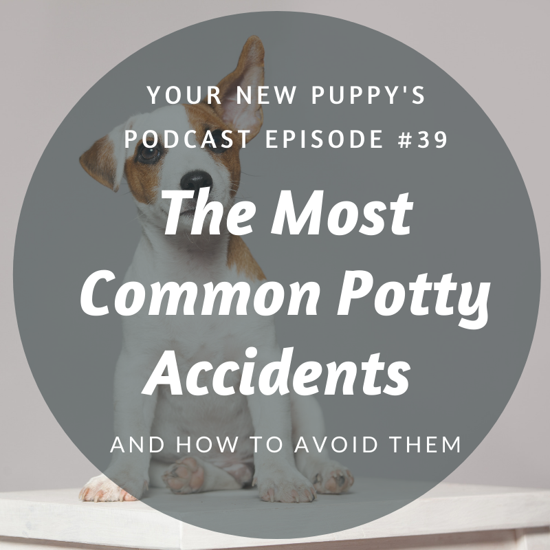 YNP #039: The Most Common Potty Accidents